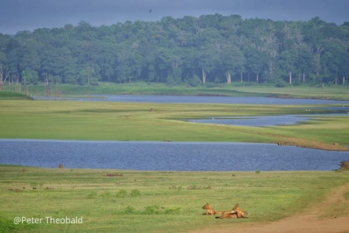 Kabini National Park - Nature Explorers India