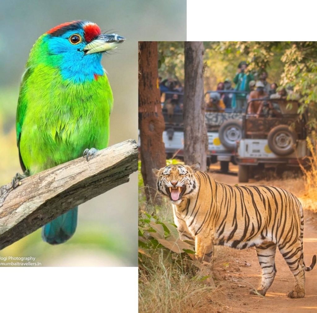About our Company - Nature Explorers India