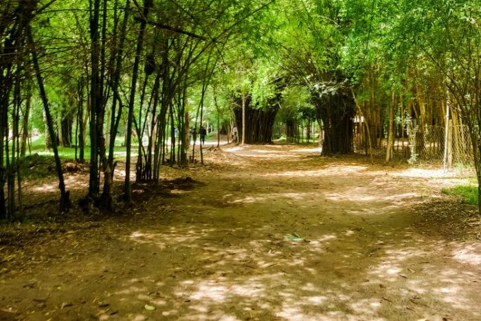 Coorg - Nature Explorers India