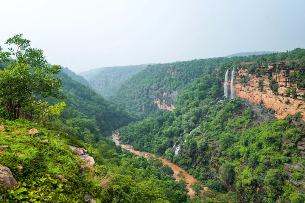 BIHAR’S LARGEST SANCTUARY TO CONDUCT WILDLIFE CENSUS TO MAKE IT TIGER ...