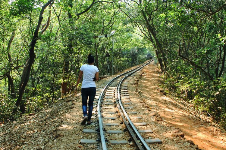 Matheran trail - Explore the wild side - Nature Explorers India