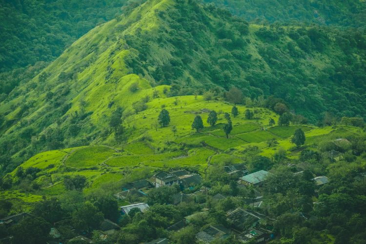 Matheran trail - Explore the wild side - Nature Explorers India