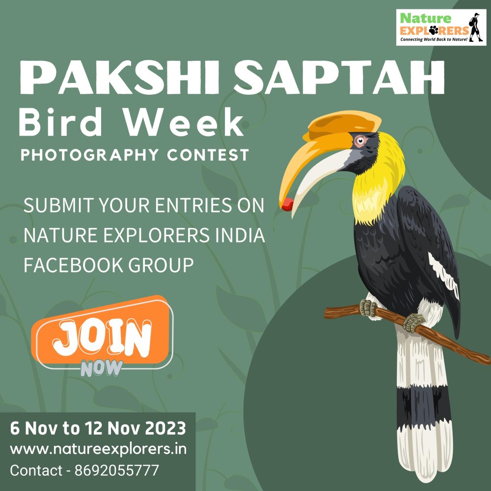 Monthly Contest Winners - Nature Explorers India