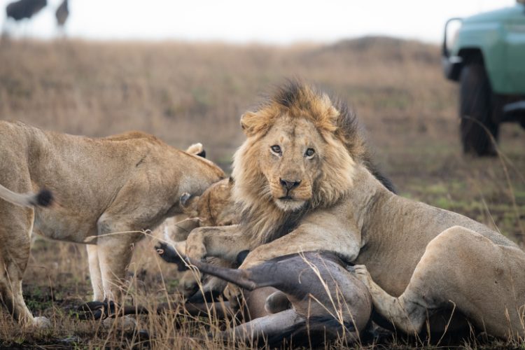 Kenya – The Rift Valley Circuit Group Tour - Nature Explorers India